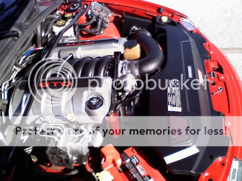 engine bay detailed | LS1GTO Forums