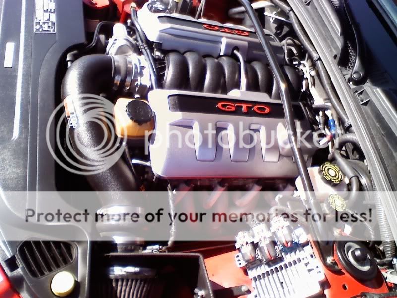 engine bay detailed | LS1GTO Forums